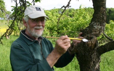 Traditional Orchards - People's Trust for Endangered Species