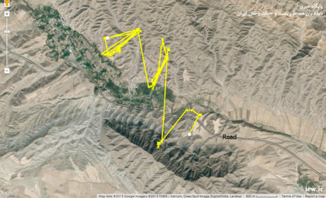 Borzou movement map - People's Trust for Endangered Species