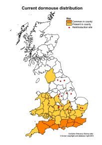 Current Dormouse Distribution Map - People's Trust for Endangered Species