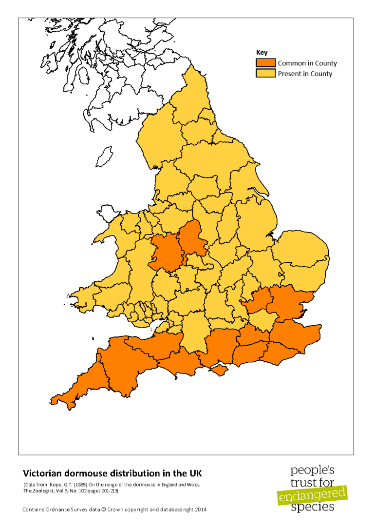 Victorian Dormouse Distribution Map - People's Trust for Endangered Species