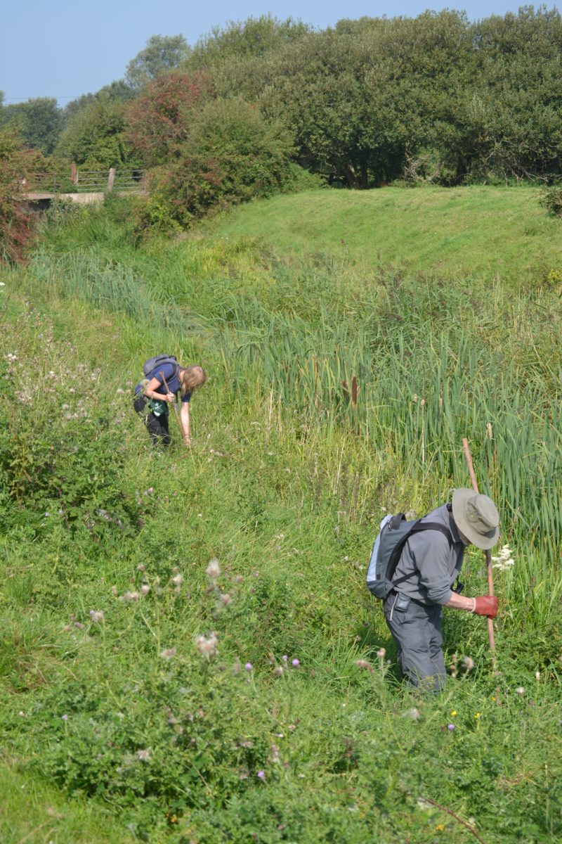 water vole survey David Lucus 46 - People's Trust for Endangered Species