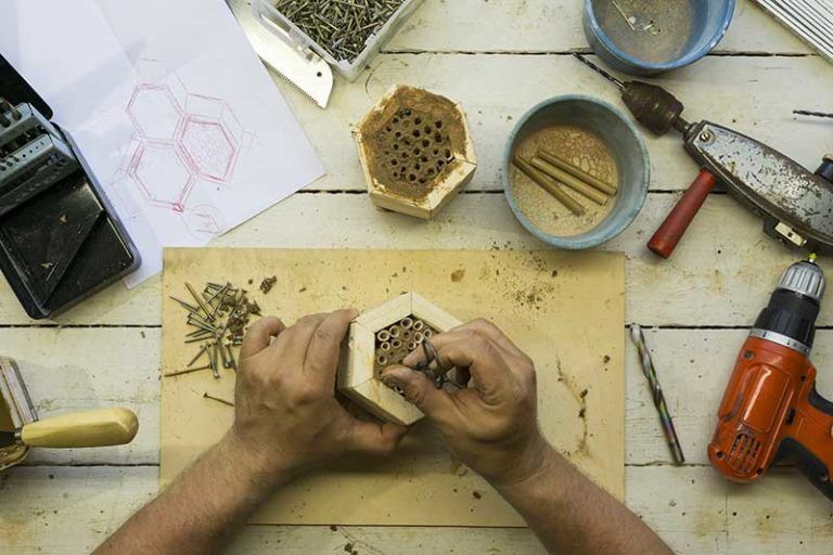 How to build an insect hotel - People's Trust for Endangered Species