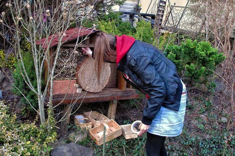 How to build an insect hotel - People's Trust for Endangered Species