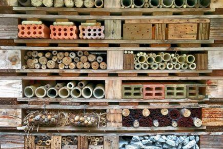 How to build an insect hotel - People's Trust for Endangered Species