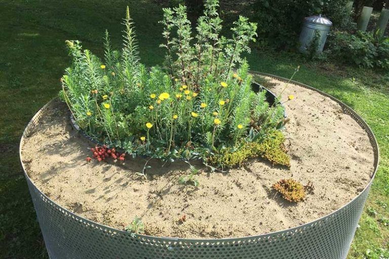 Sand-Planter-structure-bees-by-A-Bhambra - People's Trust for ...