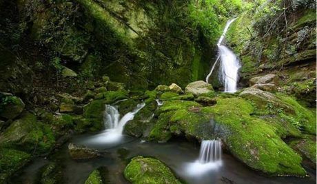 Caving in search of the world’s rarest newt - Gorgan's cave newts