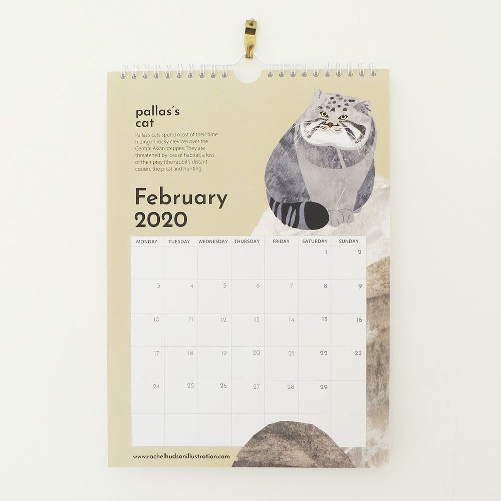 Worldwide-calendar-2020-by-Rachel-Hudson-Pallass-cat-hanging - People's ...