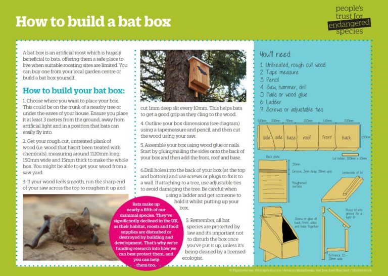 How to build a bat box - People's Trust for Endangered Species
