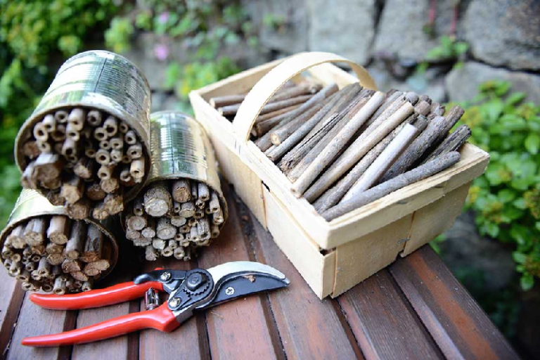 How to build an insect hotel - People's Trust for Endangered Species