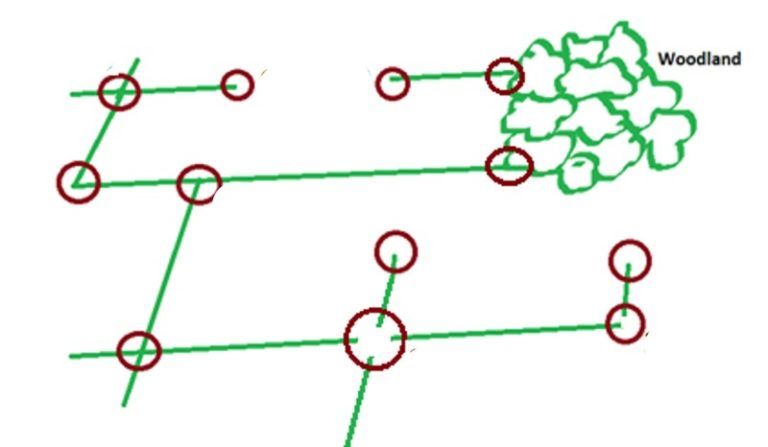National Dormouse Footprint Tunnel Survey - People's Trust for ...