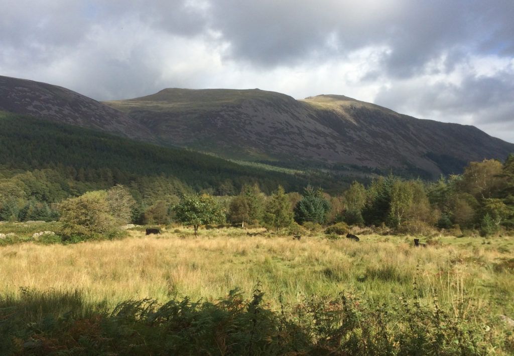 Exploring the Cumbrian landscape in the name of wood pasture conservation