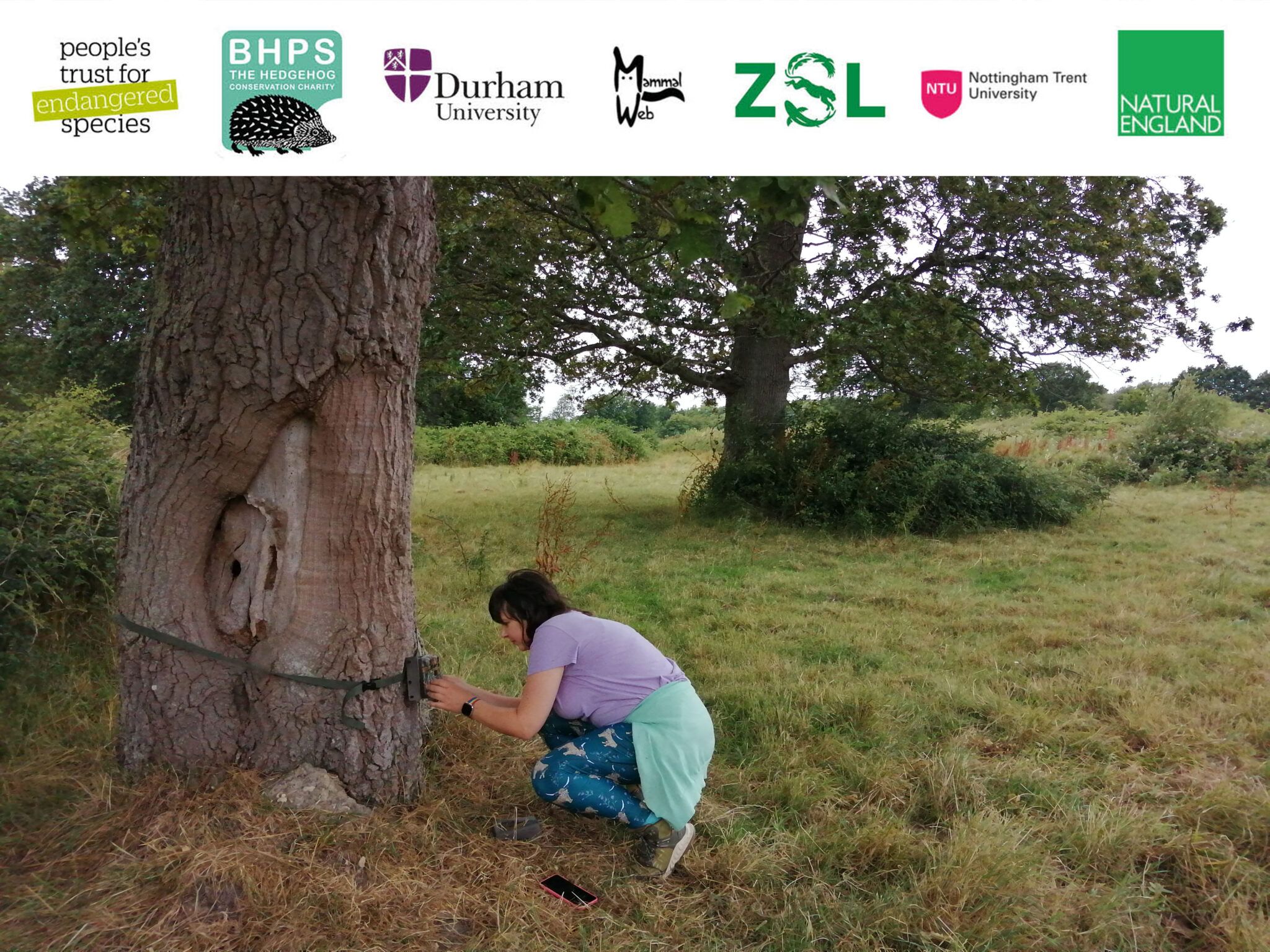 NHMP_setting-up-logos - People's Trust for Endangered Species