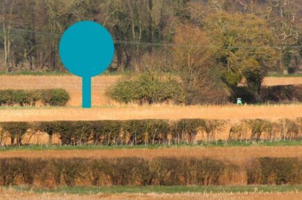 Establishing Hedgerow Trees
