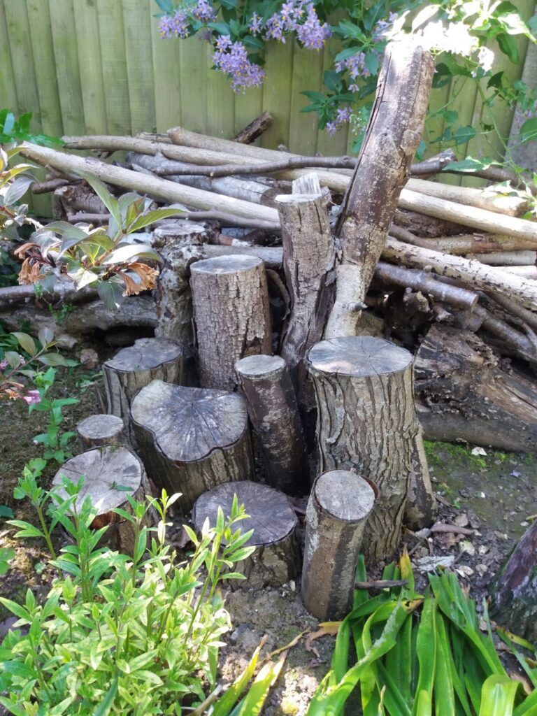 Bushwood beetles: looking for stag beetles in north London - PTES