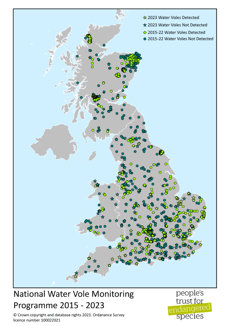 Watching water voles - People's Trust for Endangered Species
