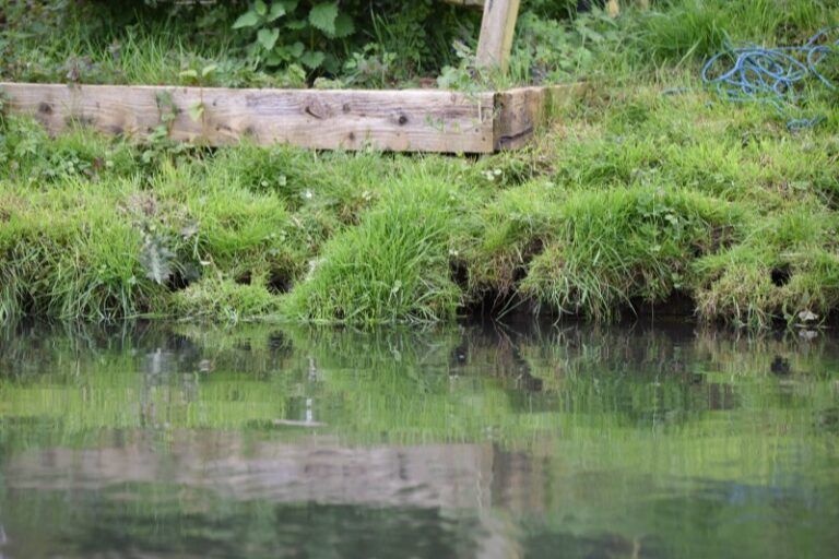 Meet David Edwards: water vole guardian - PTES
