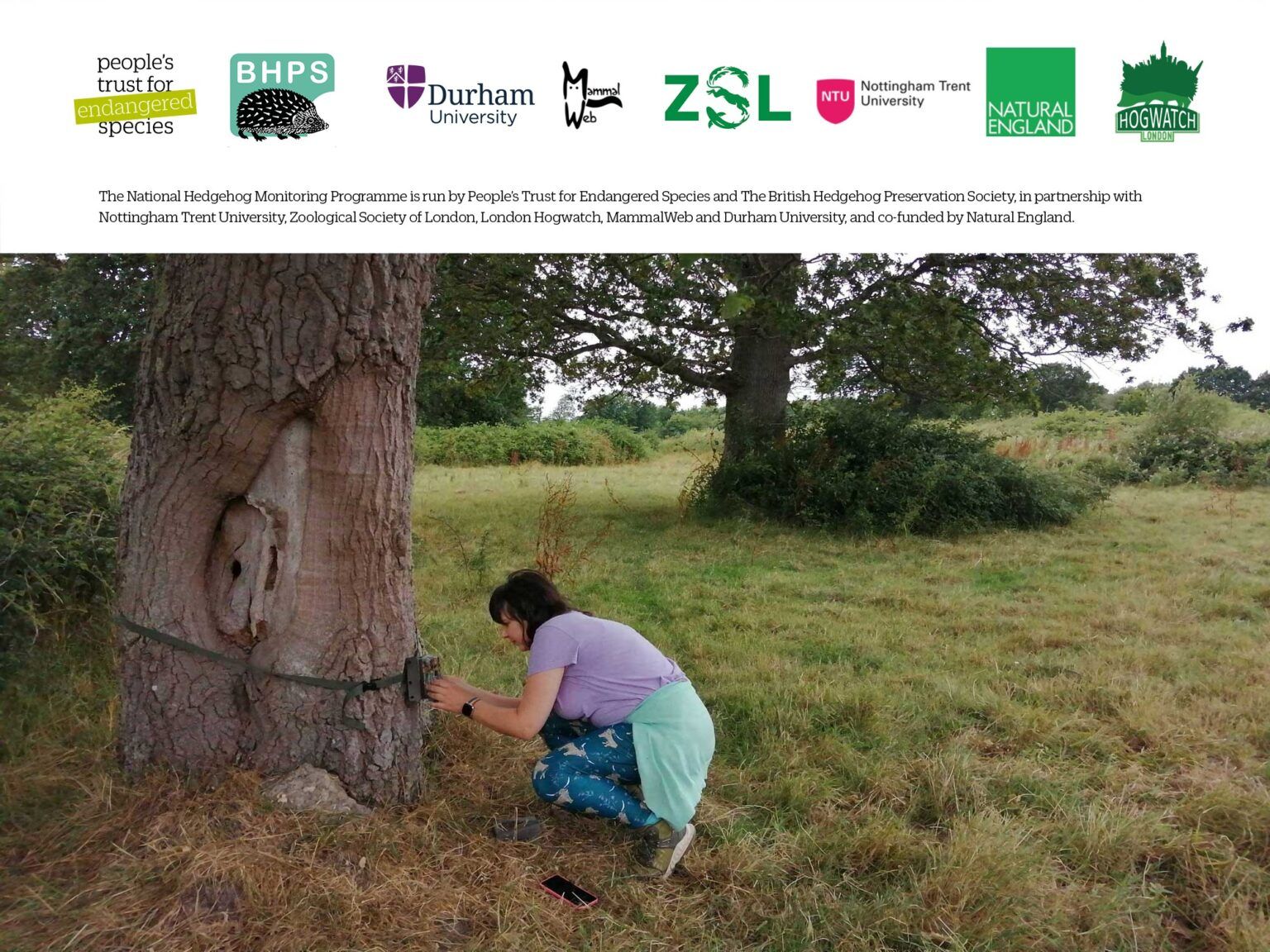 The National Hedgehog Monitoring Programme - People's Trust for ...