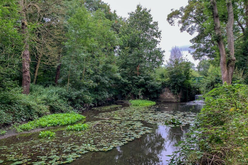 Our guidance for designing Local Nature Recovery Strategies - People's ...