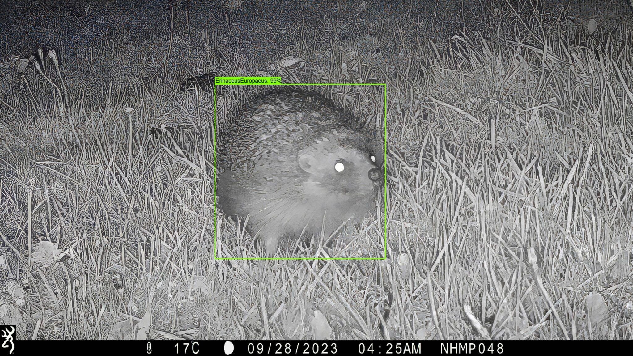 Exciting new project launched to monitor hedgehogs on a national scale ...