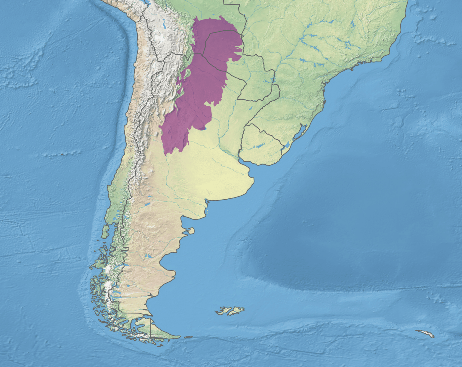 Chacoan peccaries in the Gran Chaco of Paraguay - PTES