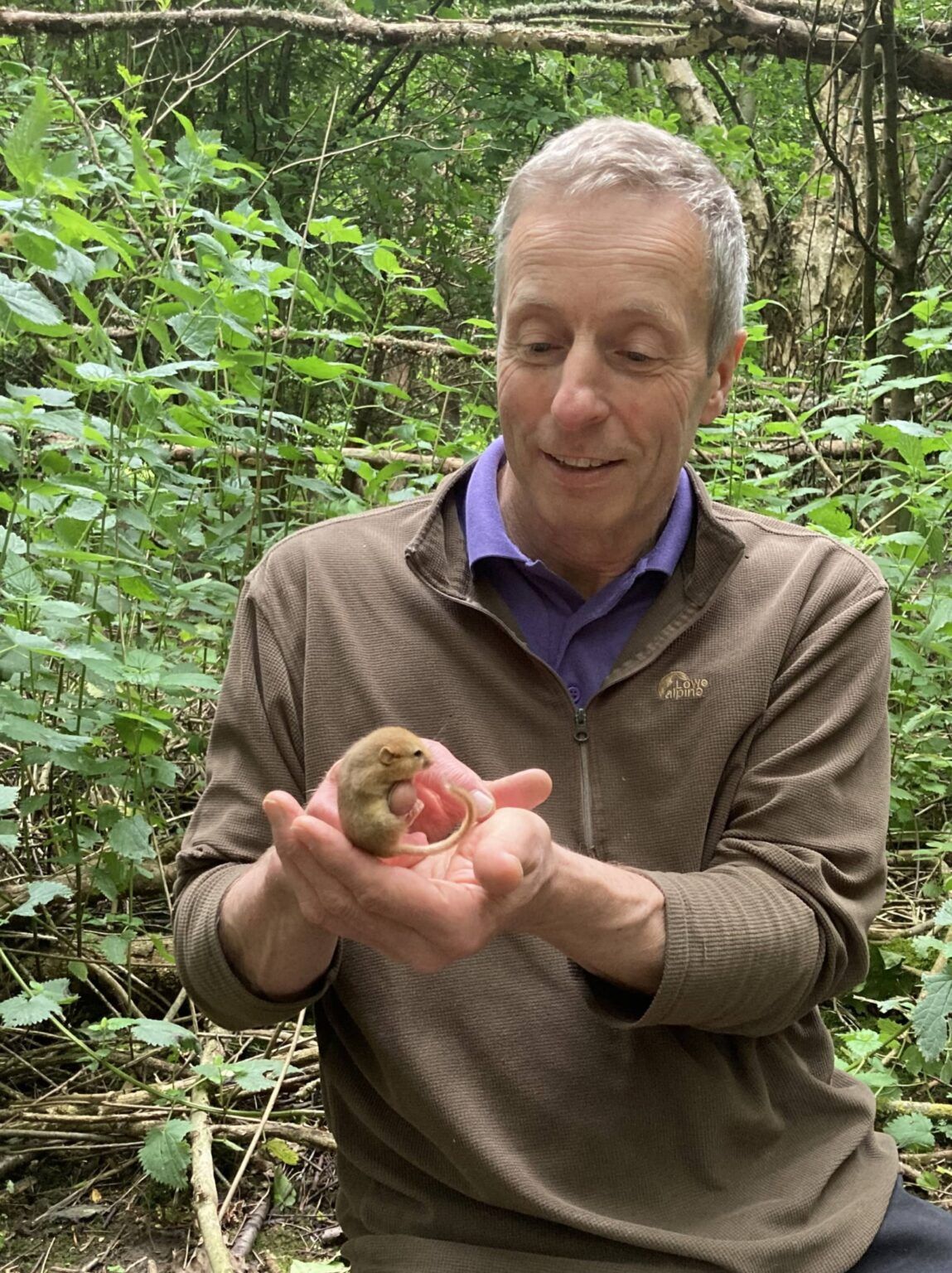 Meet Ian White: PTES' dormouse officer - PTES