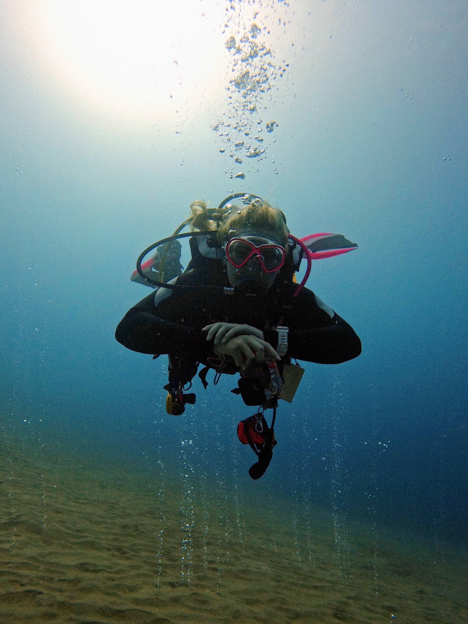 Exploring flapper skates as a flagship species for marine conservation ...